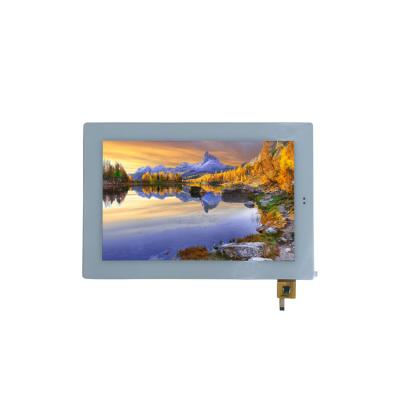 China 1920x1200 10,1 polegadas Tft LCD capacitivo touchscreen painel de exibição 45 pin LVDS à venda