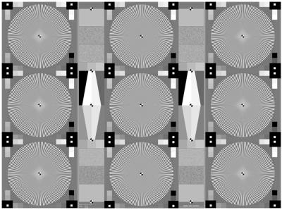 Cina Il grafico di prova sinusoidale di risoluzione della stella di Siemens YE0253 9x ha modulato per la calibratura di auto in vendita