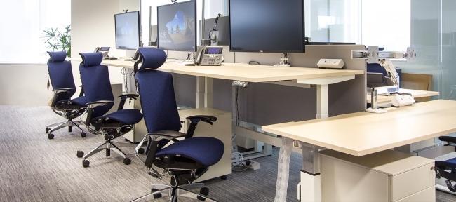 IFIT Home Mesh Mid Back Ergonomic Office Chair Optional 3D Support Headrest 2