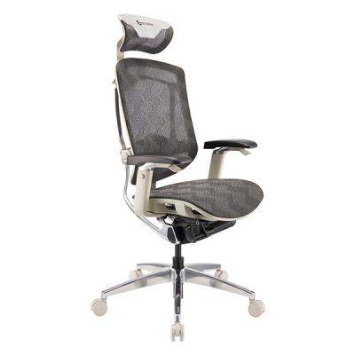 Cina La parte girevole della GT Grey Frame Ergonomic Office Chair si rilassa lo spostamento della pagaia di progettazione 5D in vendita