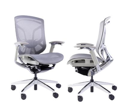 Cina 5D Paddle Ergonomic Home Office Grey Swivel Desk Chair With Lumbar Back Support in vendita