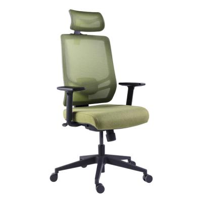 Cina Alto verde Mesh Rolling della parte posteriore di progetto della sedia ergonomica dell'ufficio in vendita