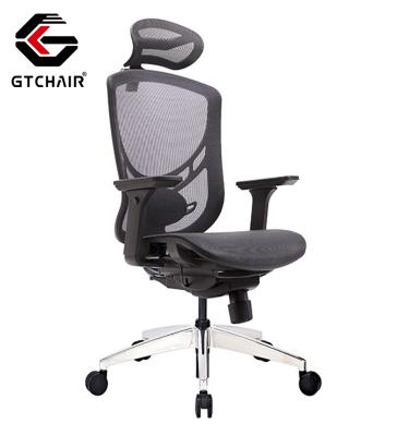 Cina GTCHAIR IVINO m. Ergonomic High Back Mesh Office Chair 65mm con supporto lombare in vendita