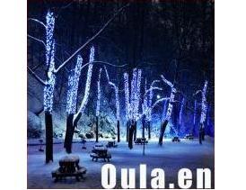 中国 30 のビーズ 5050 SMD 屋外 LED クリスマス照明装飾のコント ローラー 販売のため
