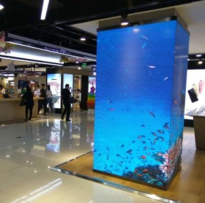 Cina P3 curvo dell'interno ha condotto il modulo flessibile 9500K in vendita