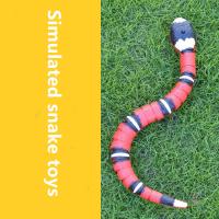 Cina Elettrico resistente di Toy For Cats Relief Fall del serpente telecomandato di induzione elettrica in vendita