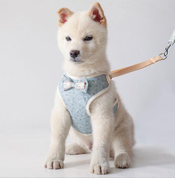 좋은 고양이 장비