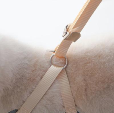 Chine Doucement aucun harnais respirable réglable de Mesh Leash And Cat Chest de traction pour le chiot à vendre