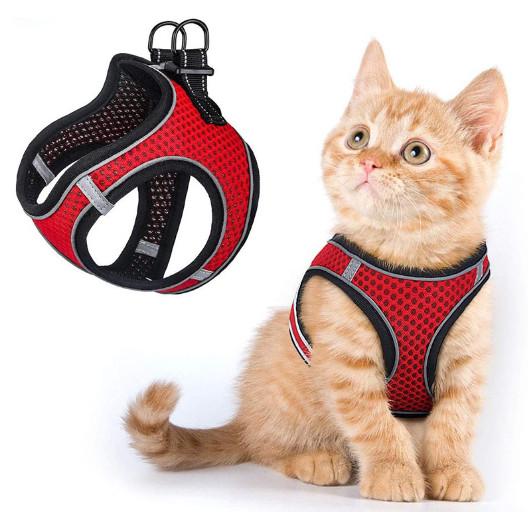 여분 작은 새끼 장비