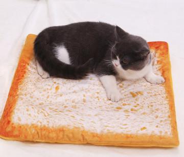 Chine Hiver Cat Blanket de protection de Cat Bed Set Warm Dog de pizza à vendre