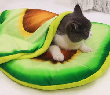 Chine Hiver Cat Blanket de protection de Cat Bed Set Warm Dog de pizza à vendre