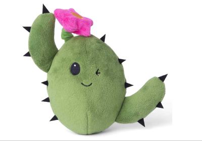 Chine Chien Cat Bite Molar Dog Bite Toy Tear Resistant Cactus à vendre