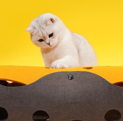 Chine Grands Cat Tunnels For Indoor Cats chiots interactifs d'animal familier d'Amazone à vendre