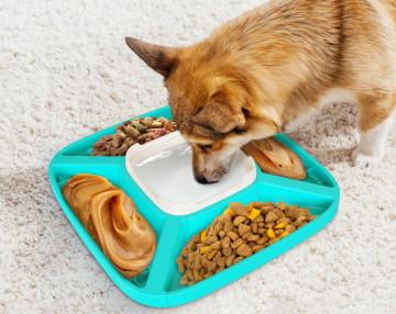 Jouet s'exerçant interactif de QI lent de conducteur de puzzle d'animal familier