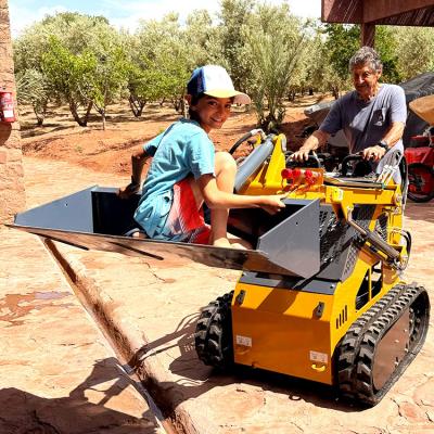 China Factory Mini Skid Steer Loader EPA EURO 5 Mini Skid Steer Loaders Gasoline Crawler Mini Loader for Sale for sale