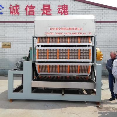 Cina Macchina per vassoi di uova all'avanguardia per soluzioni di imballaggio sostenibili in vendita
