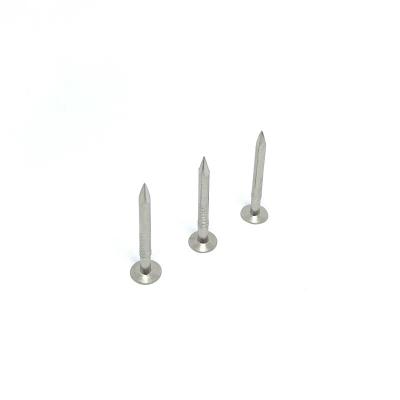 Κίνα Καρφιά ανοξείδωτου 2.8X30MM επίπεδα επικεφαλής A2 με την ομαλή κνήμη προς πώληση