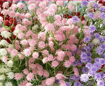 Chine Babysbreath Fleurs artificielles décoratives Décoration de fête à la maison de mariage à vendre