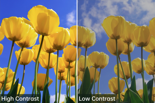 High contrast projection demonstration