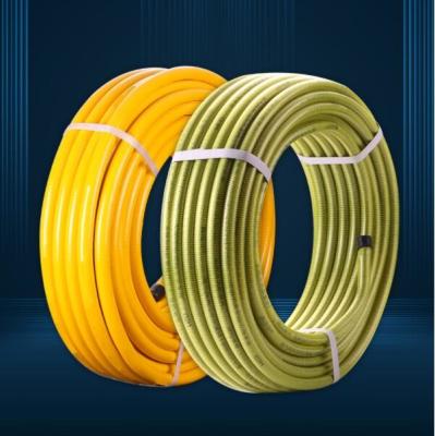 Cina Tubo meccanico domestico del tubo flessibile del contatore del gas del diaframma 50 anni di tempo di impiego in vendita