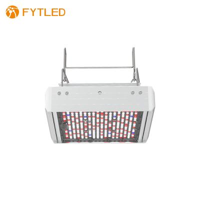 Cina Soluzioni complete delle luci progressive 0-10V Dimmable IP65 HPS di spettro LED dell'UL in vendita