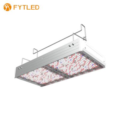 Cina UL delle luci progressive del pomodoro LED di AC277V 800W con controllo intelligente in vendita