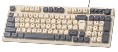 China 94+4 Keys Compact Design Supports FN + F1-F12 Shortcuts USB Plug-and-play Lightweight For Office Workers for sale
