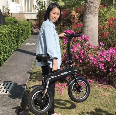 Cina Motorino elettrico pieghevole delle ruote dell'adulto 2, bicicletta elettrica di attività all'aperto in vendita