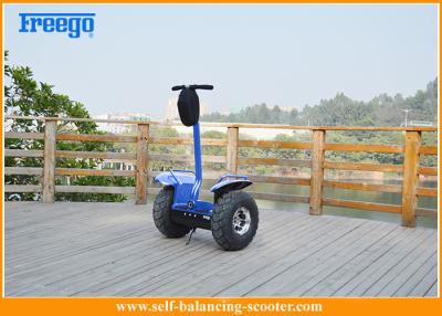 Cina 2000 motorino portatile di mobilità della ruota di W 36V 2, adulti elettrici fuori dal motorino elettrico della strada in vendita
