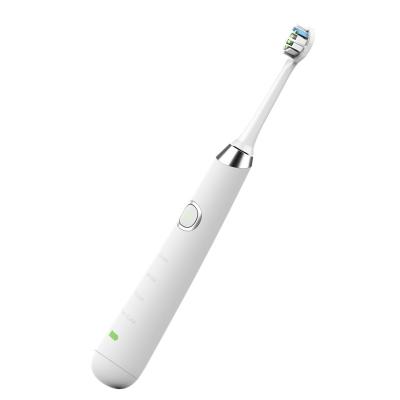 China O adulto recarregável Smart Sonic Electric Toothbrush BSCI aprovou à venda