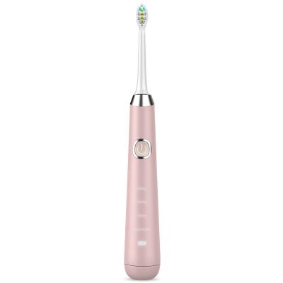 China IPX7 impermeável Sonic Electric Toothbrush de baixo nível de ruído com quatro testes padrões de trabalho espertos à venda