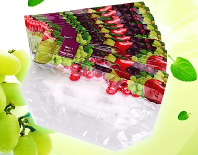 中国 果物と野菜の救済者はジッパー袋の環境保護を立てます 販売のため