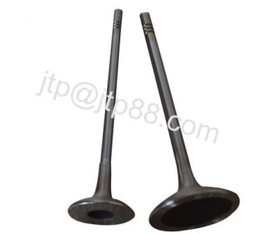 중국 Chery 차/인레트 및 배기판을 위한 Teikuko 479Q 엔진 벨브 판매용