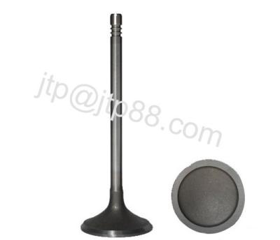 중국 Chery 차/인레트 및 배기판을 위한 Teikuko 479Q 엔진 벨브 판매용