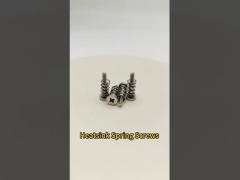 Βίδες ελατηρίου ψύκτρας M3 21mm Μήκος 7mm Σπείρωμα Κεφαλής Phillips