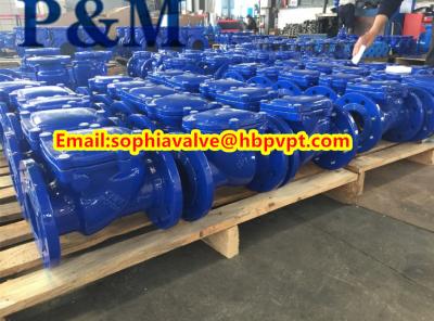 Quality DN100 PN16 GG25 cast iron swing check valve for sale