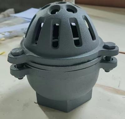 Quality PN10 resilient seal cast iron threaded foot valve for sale