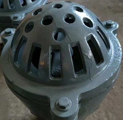 Quality PN10 resilient seal cast iron threaded foot valve for sale