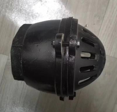 Quality PN10 resilient seal cast iron threaded foot valve for sale