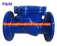 Quality resilient seal PN10/PN16 cast iron swing check valve for sale