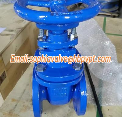 Quality GG25 Non-rising stem cast iron gate valve for sale