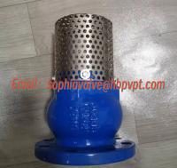 Quality manufacture foot valve PN16 GGG50 cast iron material for sale