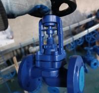 Quality WJ41H DIN standard PN10 bellows globe valve factory from China for sale