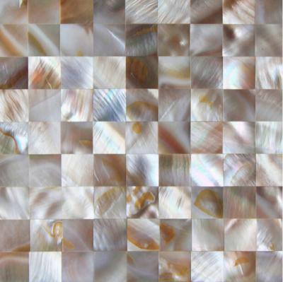 Chine Beau panneau fait main Shell d'eau douce de mosaïque de mur de coquille de mer décorant le panneau 15x15mm à vendre