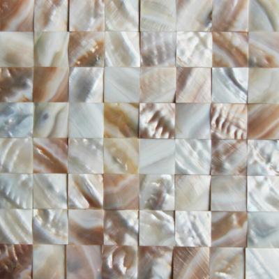 Chine Beau panneau de mur de coquille de mer de surface approximative Shell d'eau douce décorant le panneau 30x30mm à vendre