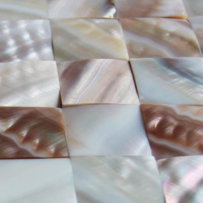 Chine Beau panneau de mur de coquille de mer de surface approximative Shell d'eau douce décorant le panneau 30x30mm à vendre