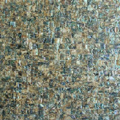 China Handmade Sea shell Wall Panel Abalone Shell Decorating Panel Shiny Colorfully in 20x20mm for sale