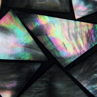 China With Black Surroundings Seashell Wall Panel Black Butterfly Shell Decorating Panel 10-35mm for sale