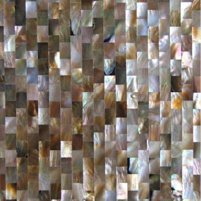 Chine Le pingouin naturel Shell de revêtement mural de coquille de mer décorant le panneau de mur ajustent des morceaux 10x20mm à vendre
