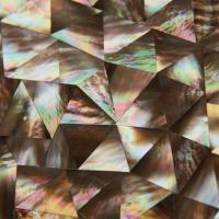 Cina Natural Seashell Wall Covering Penguin Shell Decorating Wall Panel Triangle Pieces 10-35mm in vendita